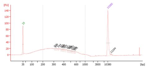 Bioanalyzer Electropherogram Of A Dna Sample Sheared By Sonication