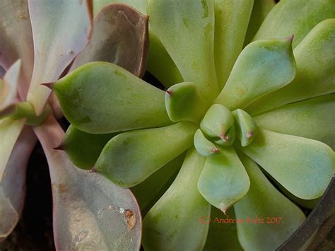 Untitled — Happy New Year Check Out My Latest Photos