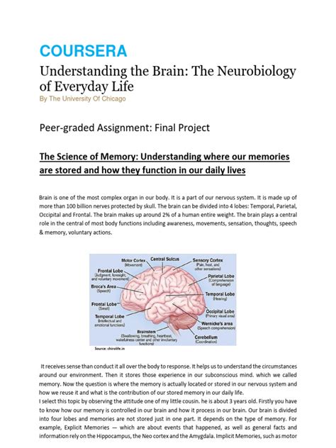 the science of memory pdf memory brain