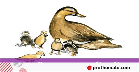 পঞ্চম শ্রেণি বাংলাদেশ ও বিশ্বপরিচয় অধ্যায় ৩ প্রশ্নোত্তর প্রথম আলো