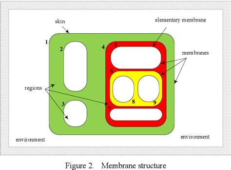 Figure 2 From A Chameleon Algorithm Based On P Systems With Active
