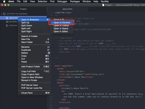 atom browser