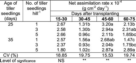 Interaction Effect Of Age Of Tiller Seedlings And Number Of Tiller