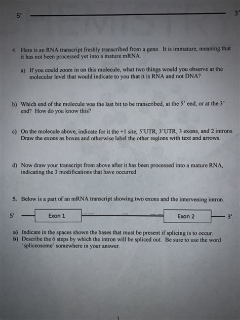 Solved 4 Here Is An RNA Transcript Freshly Transcribed From Chegg Com