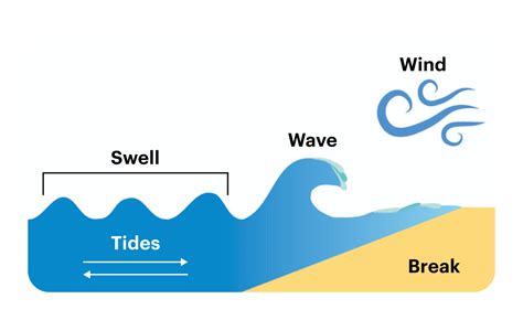 Swells Diagram