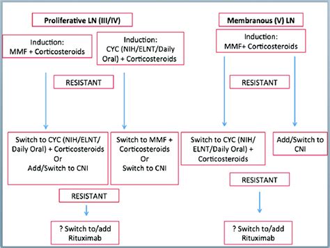 Nephritis Treatment