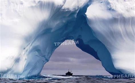 Ледникова епоха сковава планетата след 15 години