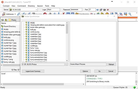 How To Sync Folders Using Turboftp Client 680 Full Version