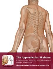Appendicular Skeleton Lab Manual Pdf 1 PRE LAB EXERCISES When Studying The Skeletal System The