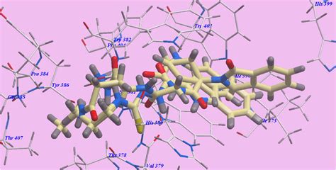 Superimposition Of Some Docked Compounds Inside The Binding Pocket Of