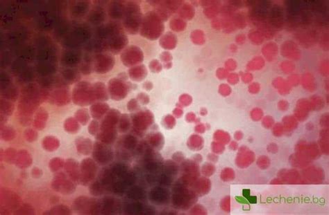 ᐉ Млечница — Lecheniebg