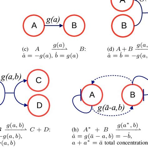 Graph Representations Of Biochemical Reactions Download Scientific Diagram