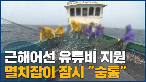근해어선 유류비 지원 멸치잡이 잠시 숨통 Youtube