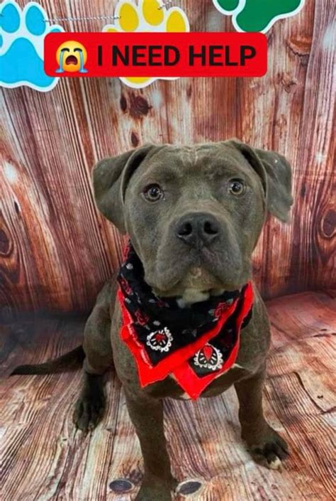 Nancy Knox Bierman On Linkedin Anyone In Georgia Feel Like Being A