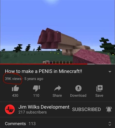 How To Make A PENIS In Minecraft V O Jim Wilks Development SUBSCRIBED 217 Subscribers IFunny