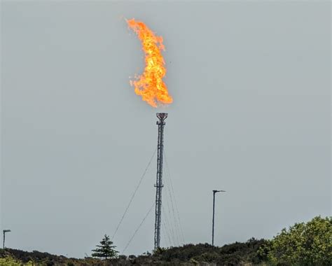 Flaree Project Flare Efficiency