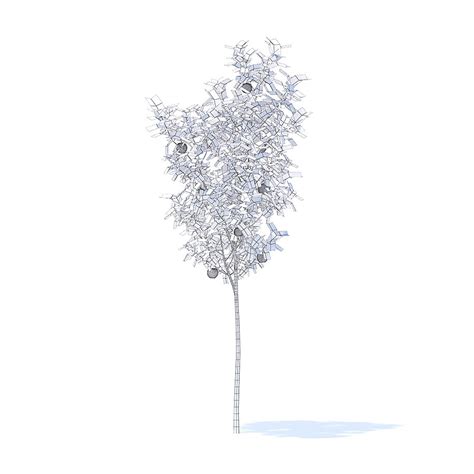 Apple Tree With Fruits 27m 3d Model Download Trees On