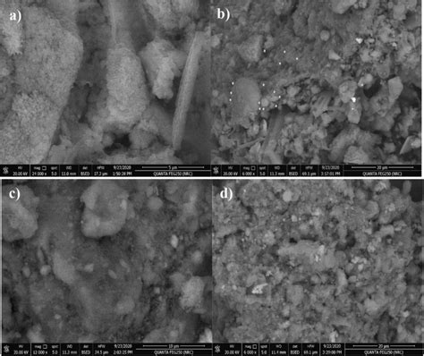 Sem Micrographs Of Biosorbent 1 A Before And B After The Adsorption Of