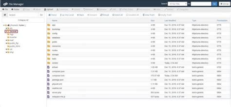 Installing Laravel On Cpanel Through Ssh