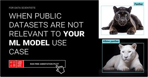 Label Your Data On Linkedin Public Datasets Arent Useful For Your