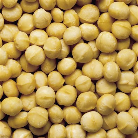 Macadamia Kernel Style Guide Nutworks