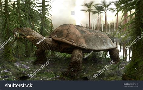 Illustration Carbonemys Cofrinii Extinct Genus Giant Stock Illustration 361979219 Shutterstock Illustration Carbonemys Cofrinii Extinct Genus Giant Stock Illustration 361979219 Shutterstock