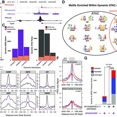 Chromatin Accessibility Transcription Dynamics And Proximity Guide Download Scientific