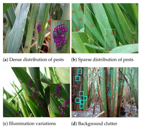 Agripest A Large Scale Domain Specific Benchmark Dataset For Practical Agricultural Pest
