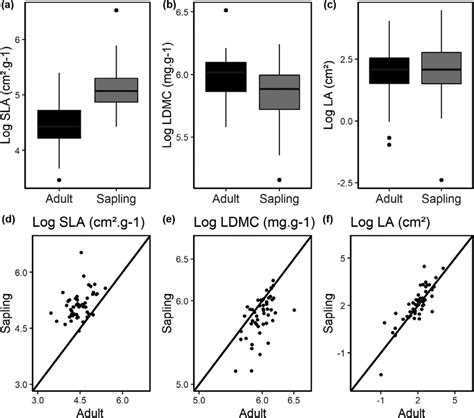 Boxplot Showing Intraspecific Leaf Traits Differences Specific Leaf