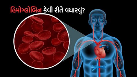 હિમોગ્લોબિન કેવી રીતે વધારવું લોહીની ઉણપથી કઇ બીમારી થાય છે How To Increase Hemoglobin Level