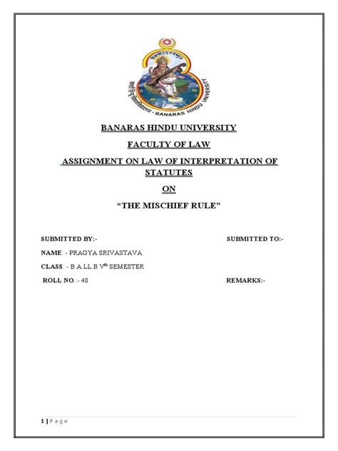 interpretation assignment pdf statutory interpretation public law