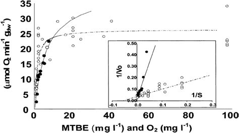 Dissolved Oxygen Uptake Rate Of Whole Resting Cells As A Function Of Download Scientific