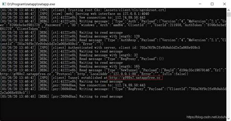 使用idea进行支付宝沙箱测试支付宝沙箱环境demo用idea运行不了 Csdn博客