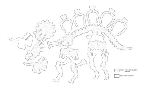 Dinosour Bones 2d Pattern Of Dinosaur Fossils By Meghan Hageman Dribbble This Dinosaur