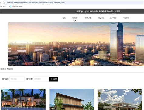 基于java springboot的乡村政务办公系统 csdn博客