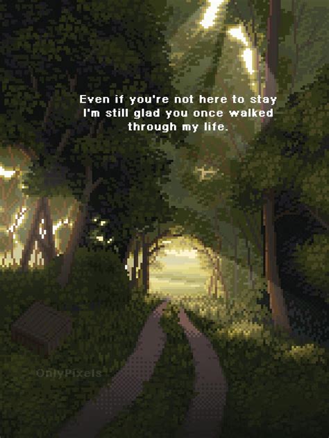 Onlypixeeels Original Highres Bush Day Dirt Road English Text