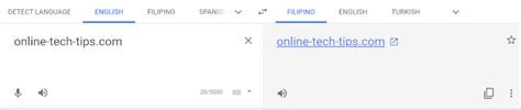 How To Google Translate A Web Page | onlineguys
