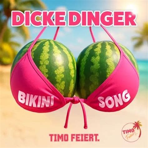 Timo Feiert Die Zipfelbuben Dicke Dinger Bikini Song Sunflower