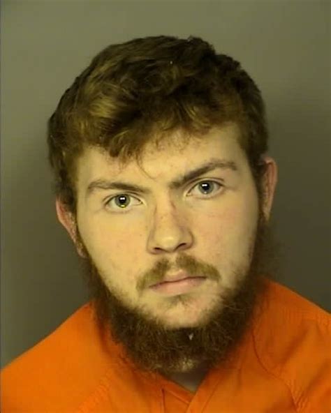 Fibel Duane Robert Reckless Driving Fail To Stop For Blue Light Unlawful Carrying Of