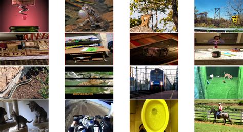 Figure 1 From Measuring Robustness To Natural Distribution Shifts In Image Classification