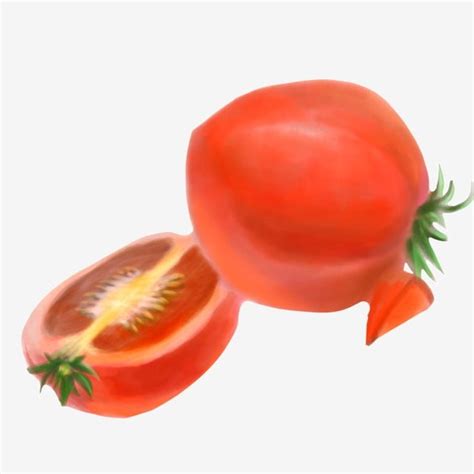 토마토 일러스트 성분의 그림 재료 토마토 만화 삽화 음식 일러스트 Png 일러스트 및 Psd 이미지 무료 다운로드 Pngtree