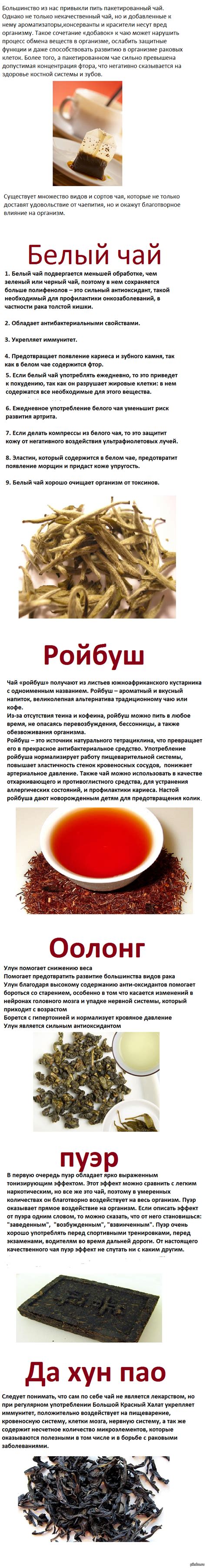 О пользе чая | Пикабу