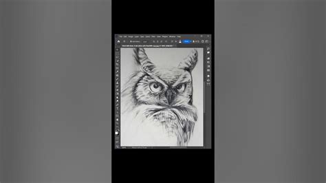 convert pencil sketch to pen sketch in photoshop shorts photoshop