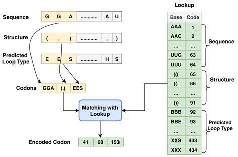 Deep Sequence Modelling For Predicting COVID 19 MRNA Vaccine Degradation PeerJ