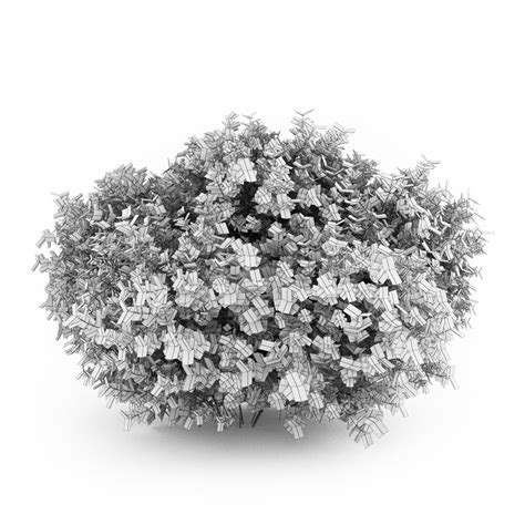 Bigleaf Hydrangea Hydrangea Macrophylla 3d Model Download Bushes On