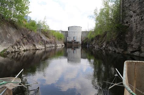 Sampling Fish Geeky Girl Engineer