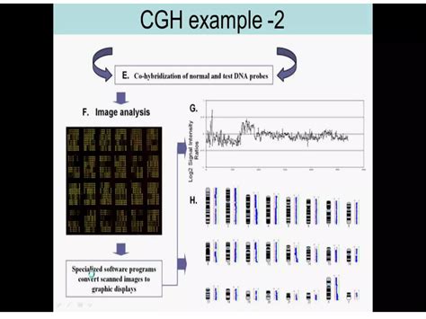 Comparative Genomic Hybridization Pptx