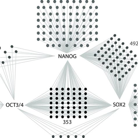 Histone Tail Modifications Schematic Illustration Of Histone Core Download Scientific Diagram