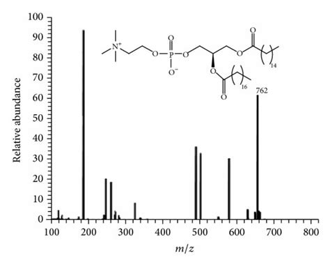 Ms Spectrograms Of A Lpc B Pc C Pe And D Pl Download