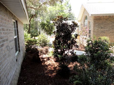 Emerald Coast Nursery Image Emerald Coast Nursery